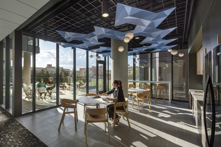 University of Arizona Grand Challenges Research Building - DBIA